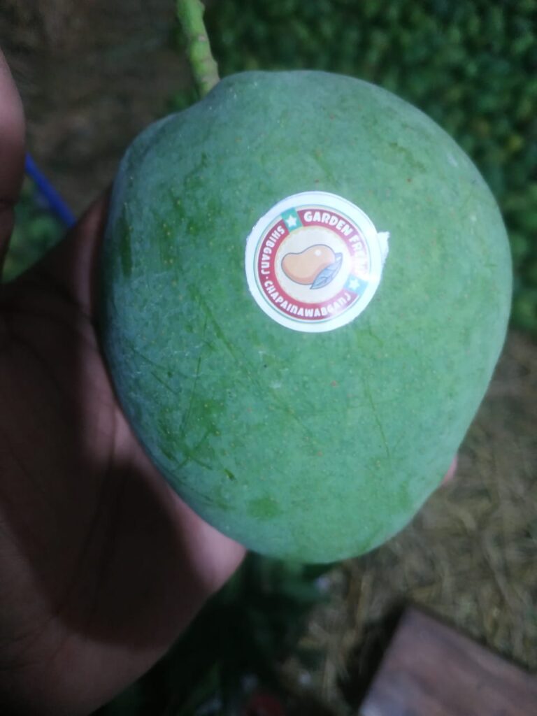 Himsagar – OrganicO